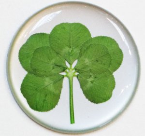 7 Leaf Clover : Julie Roberts, Home of the Original Lucky Clovers